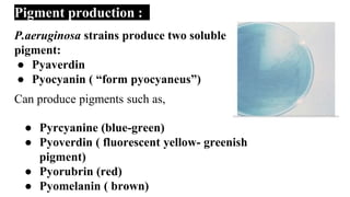 Pseudomonas aeruginosa-M | PPTX