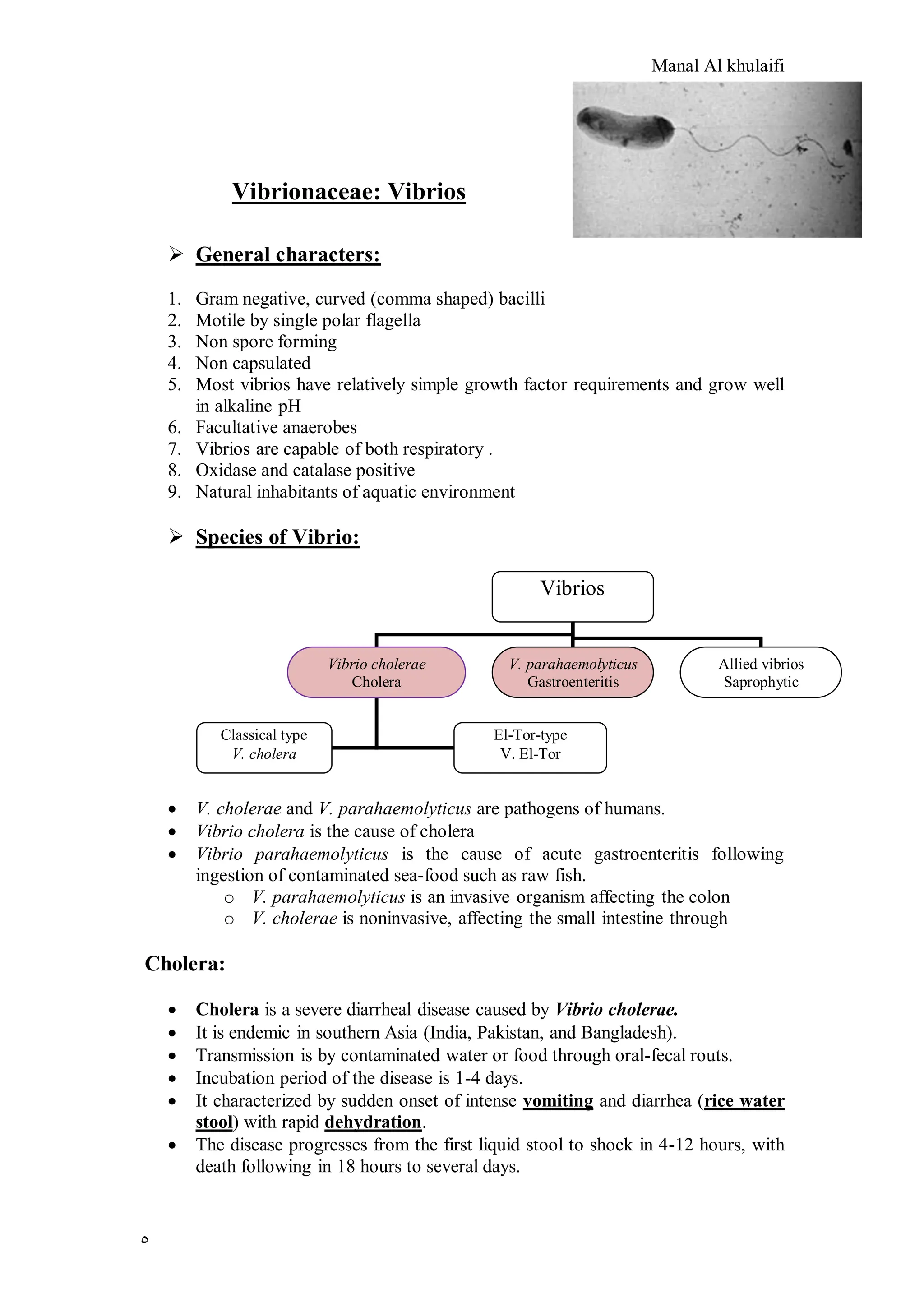 Pseudomonas aeruginosa Characteristics and Culture | PDF