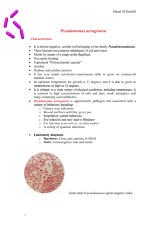 Pseudomonas aeruginosa Characteristics and Culture | PDF