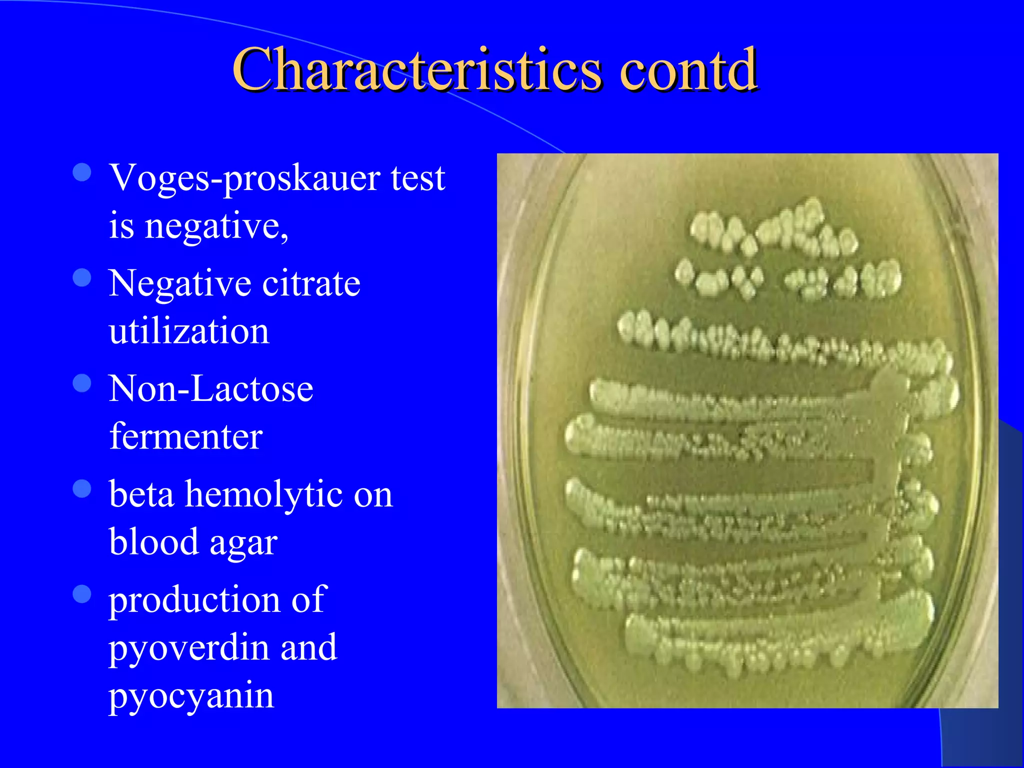 Pseudomonas aeruginosa an epitome of a drug resistance in bacteria | PPT