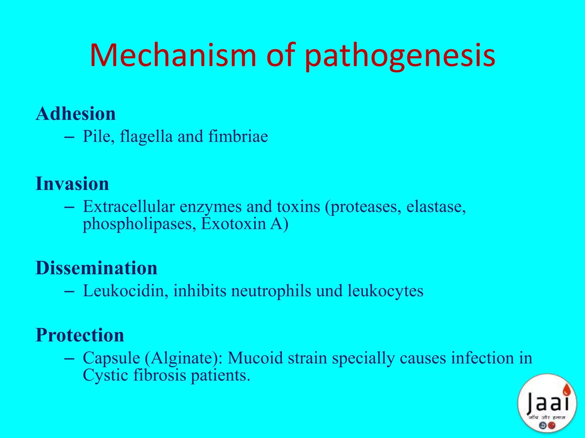 Pseudomonas aeruginosa [autosaved] | PPTX