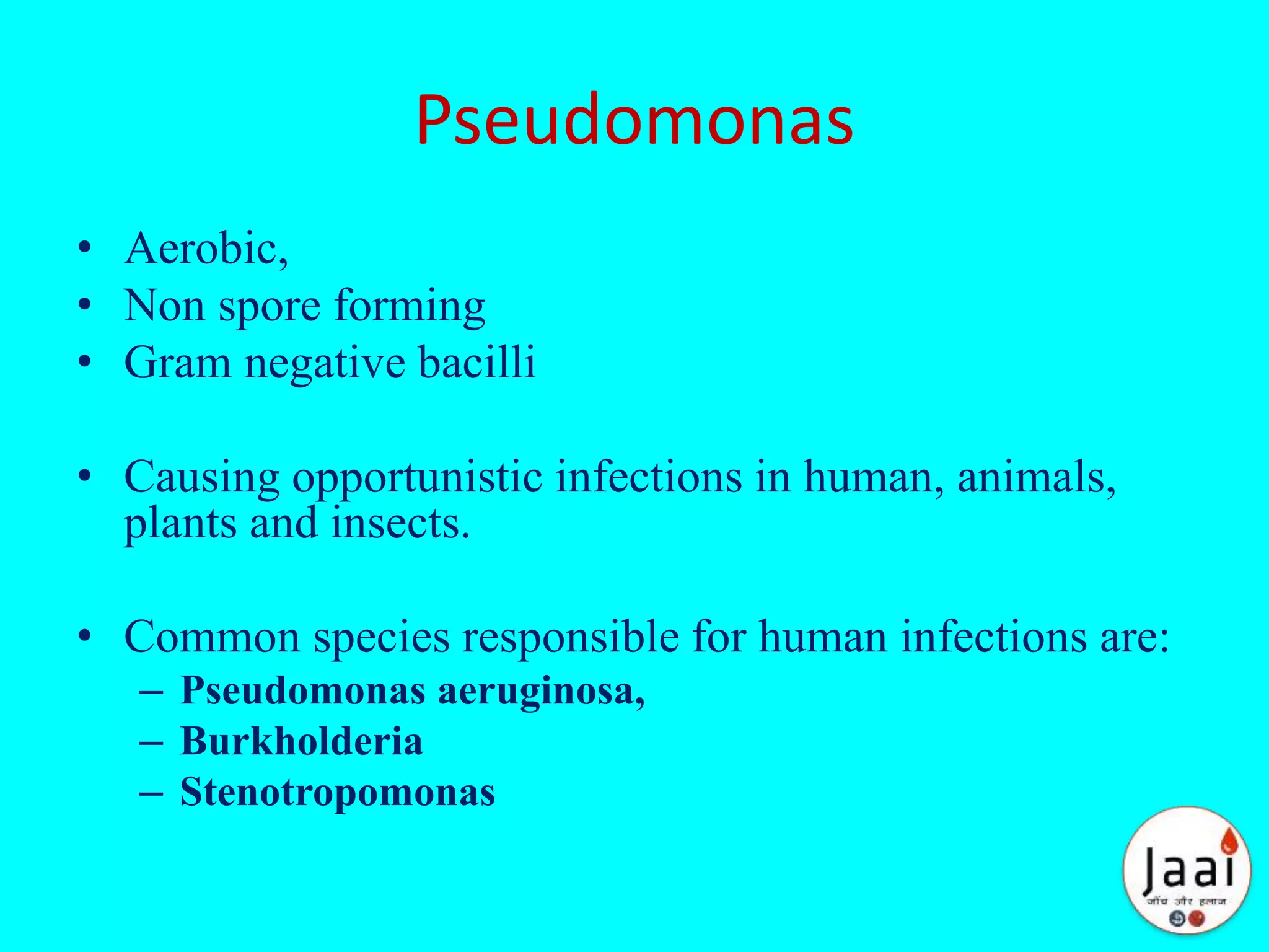Pseudomonas aeruginosa [autosaved] | PPTX