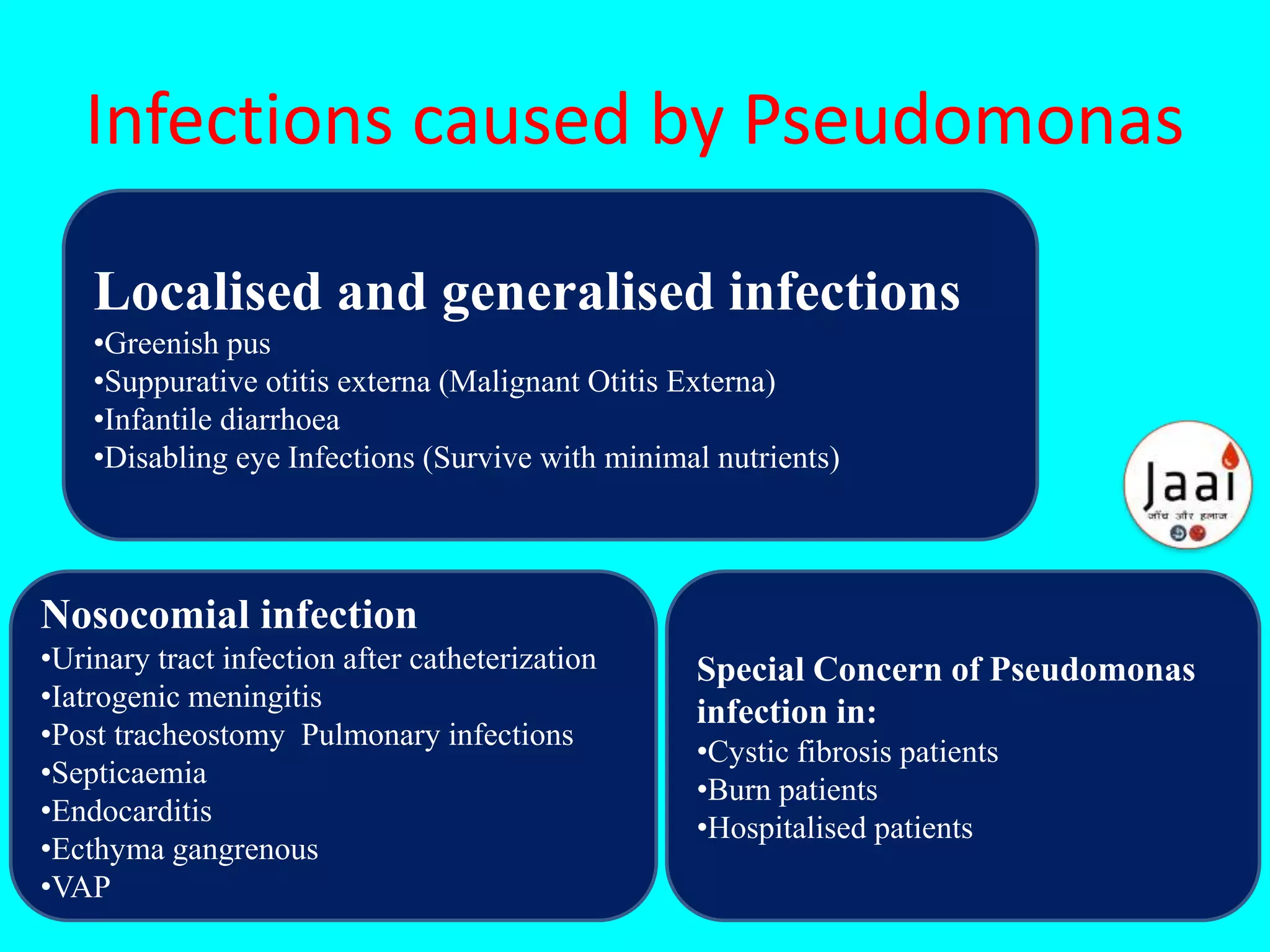 Pseudomonas aeruginosa [autosaved] | PPTX