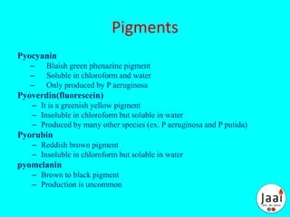 Pseudomonas aeruginosa [autosaved] | PPTX