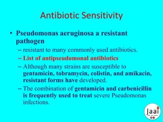 Pseudomonas aeruginosa [autosaved] | PPTX
