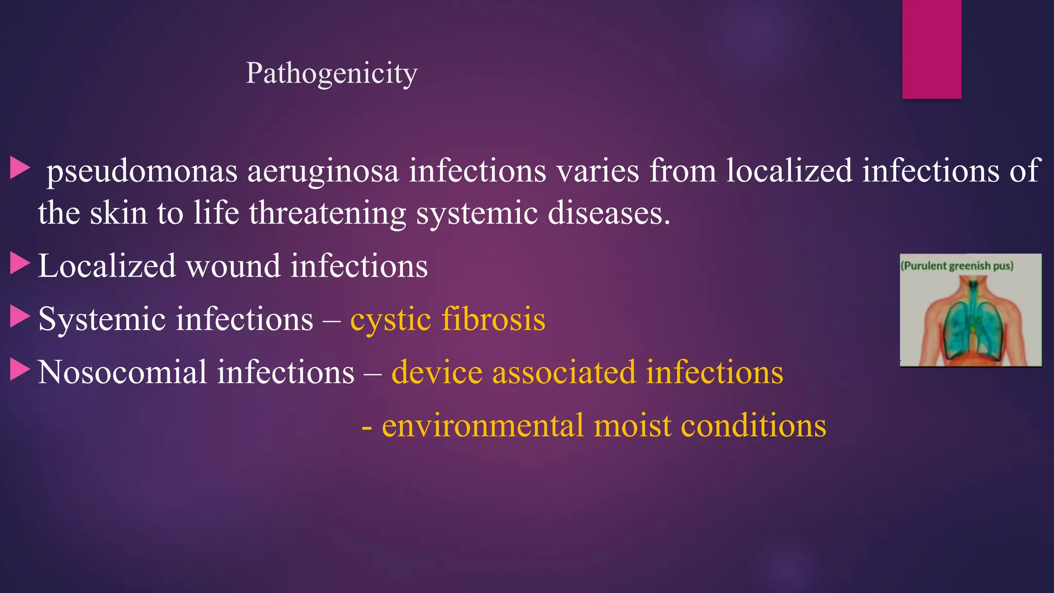 Pseudomonas aeruginosa original .pptx pptx | PPTX