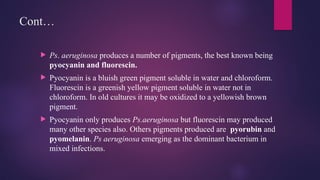 Pseudomonas aeruginosa original .pptx pptx | PPT