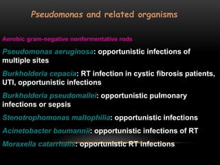 Pseudomonas dr.ihsan alsaimary | PPT