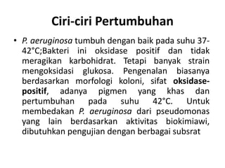 pseudomonas_Elmayana.pptx