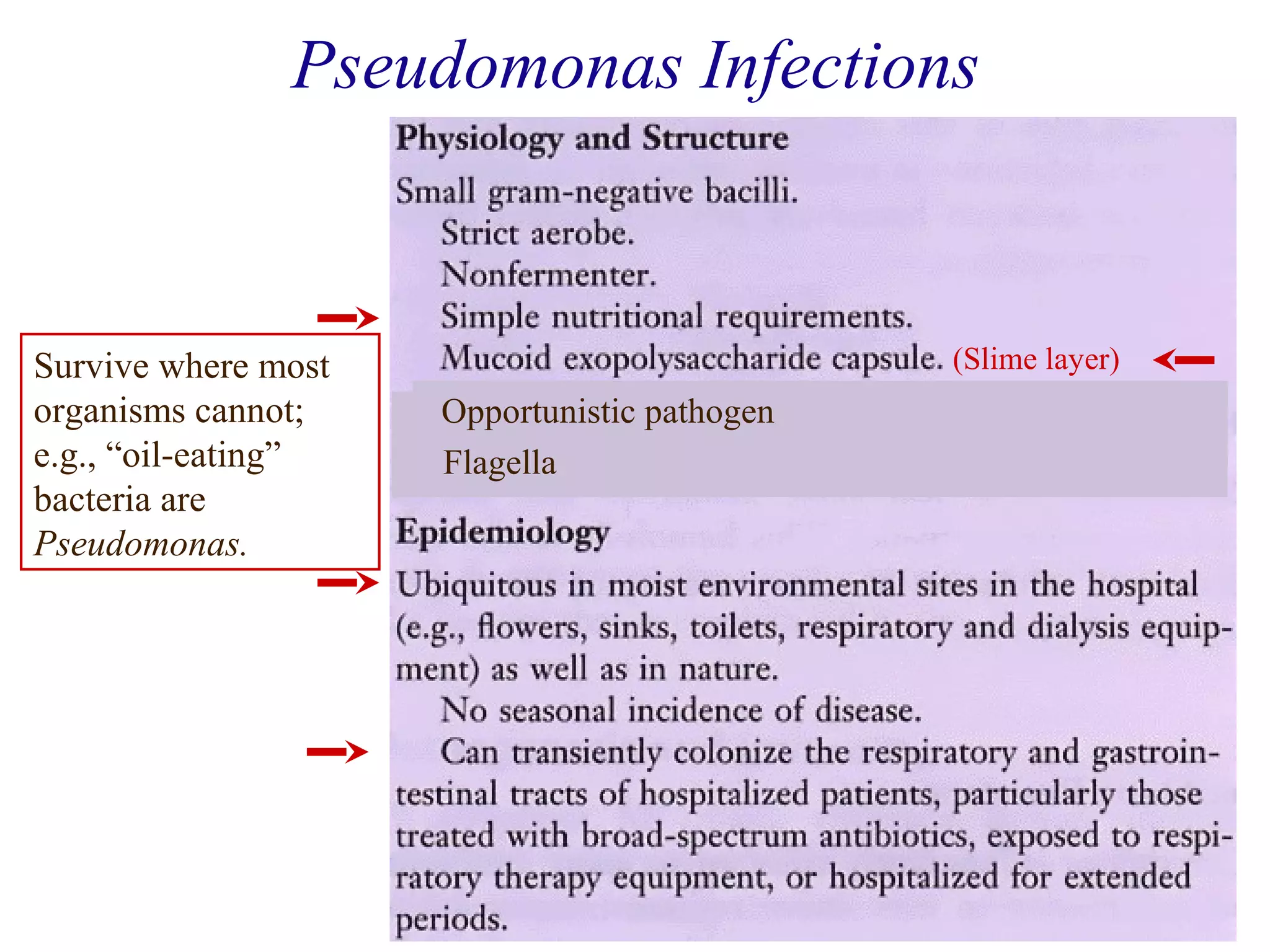 Pseudomonas fi | PPT