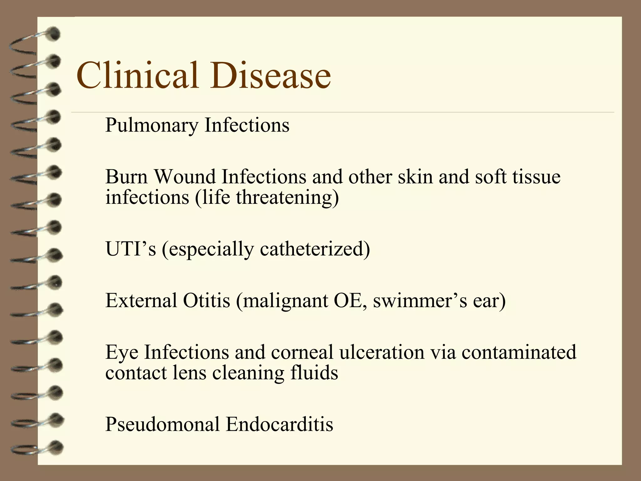 Pseudomonas fi | PPT