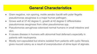 Pseudomonas for neet pg | PDF | Infectious Diseases | Diseases and ...