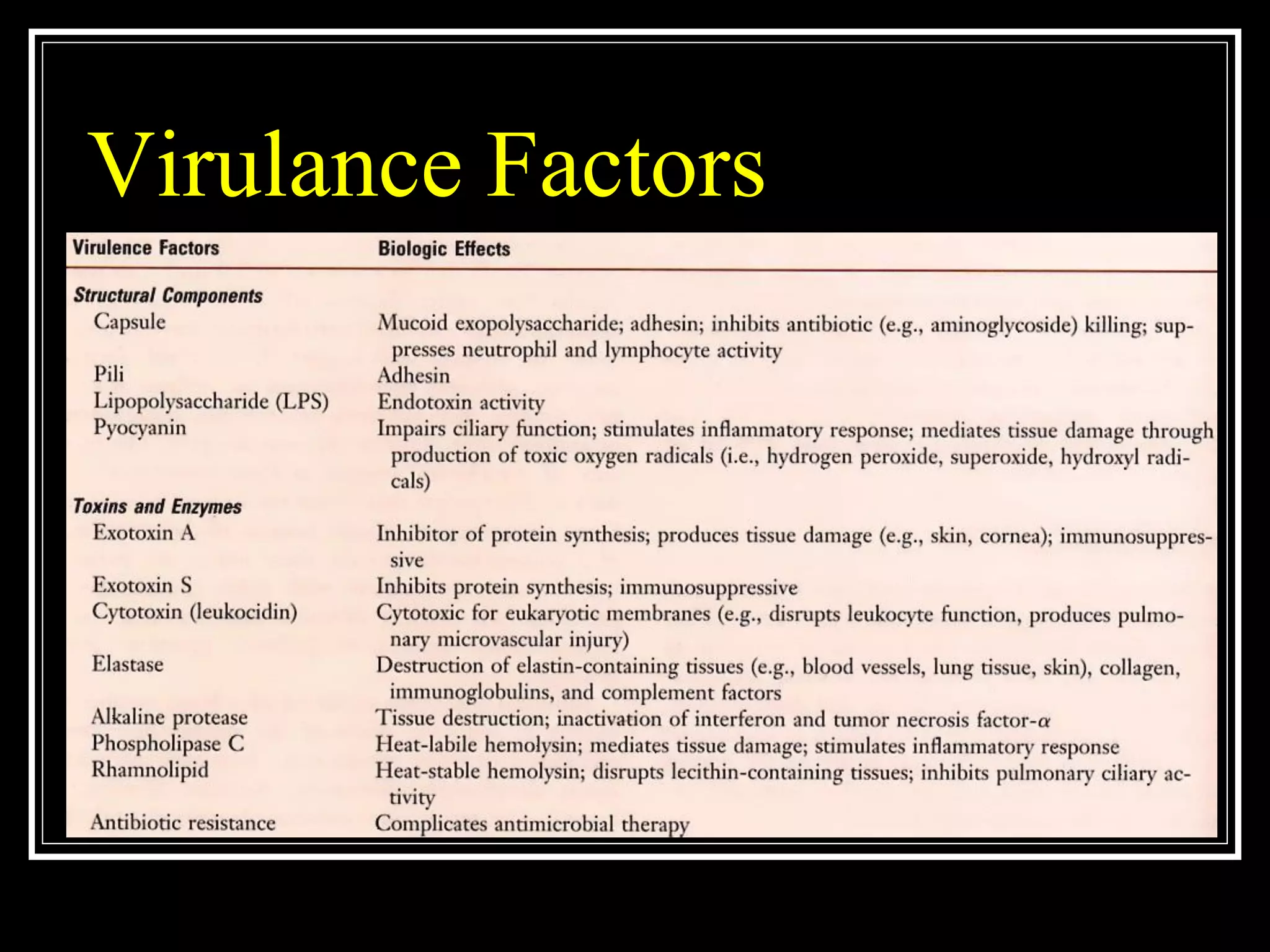 Pseudomonas mahadippt | PPT