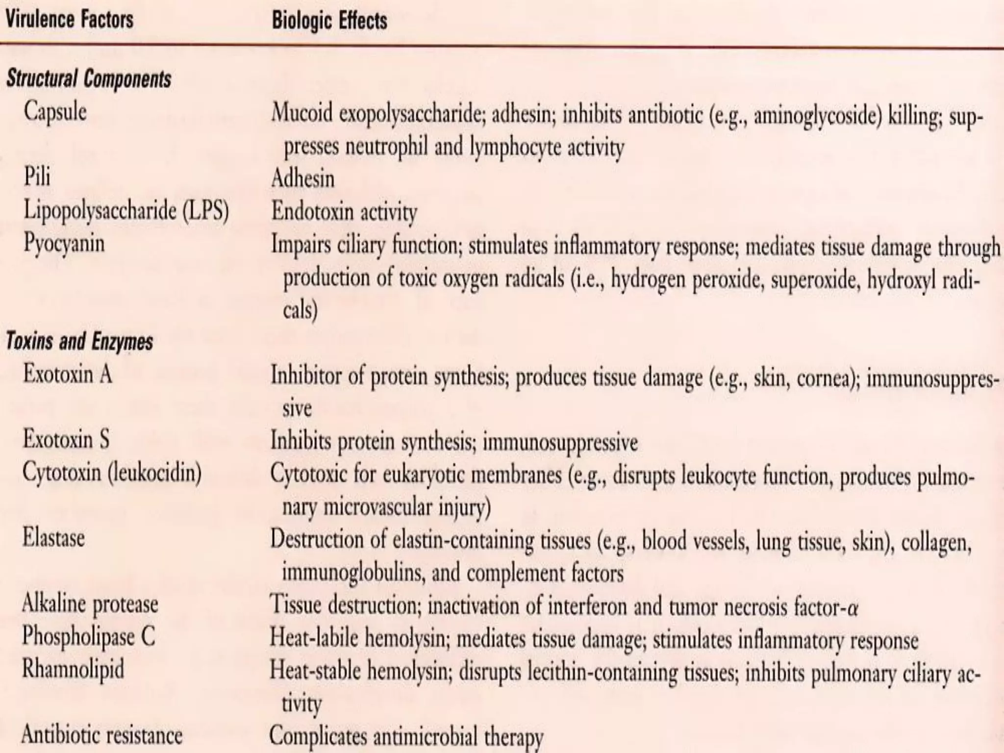 Pseudomonas mahadippt | PPT