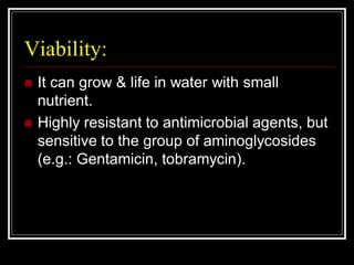 Pseudomonas mahadippt | PPT