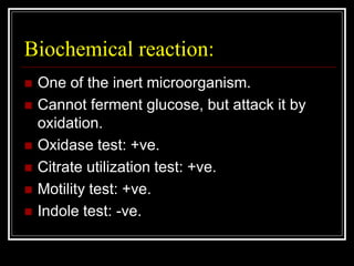 Pseudomonas mahadippt | PDF