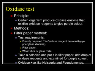 Pseudomonas mahadippt | PDF