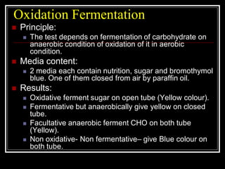 Pseudomonas mahadippt | PDF