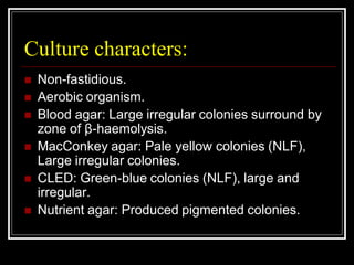 Pseudomonas mahadippt | PDF