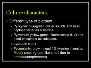 Pseudomonas mahadippt | PPT