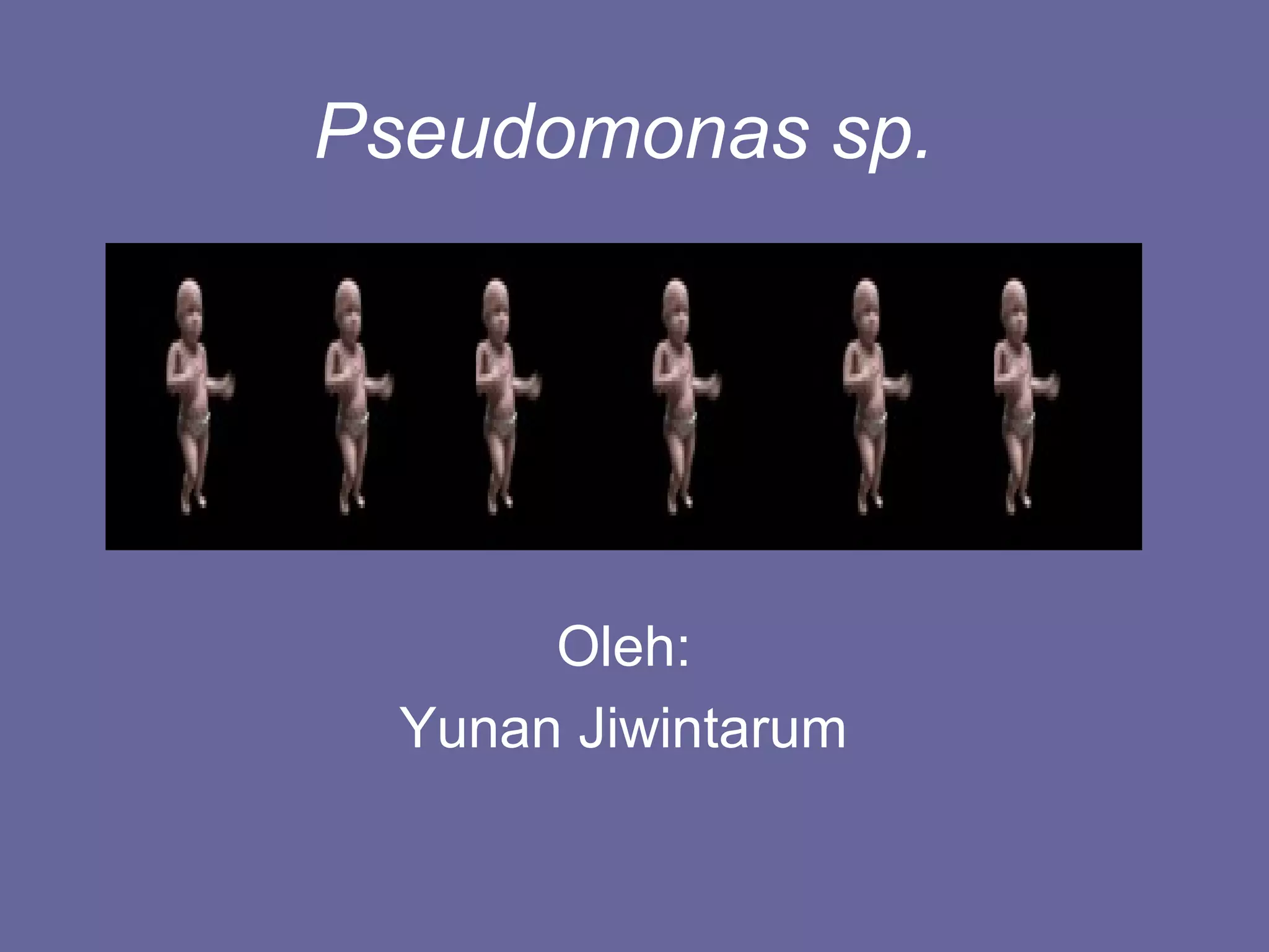 Pseudomonas sp | PPT