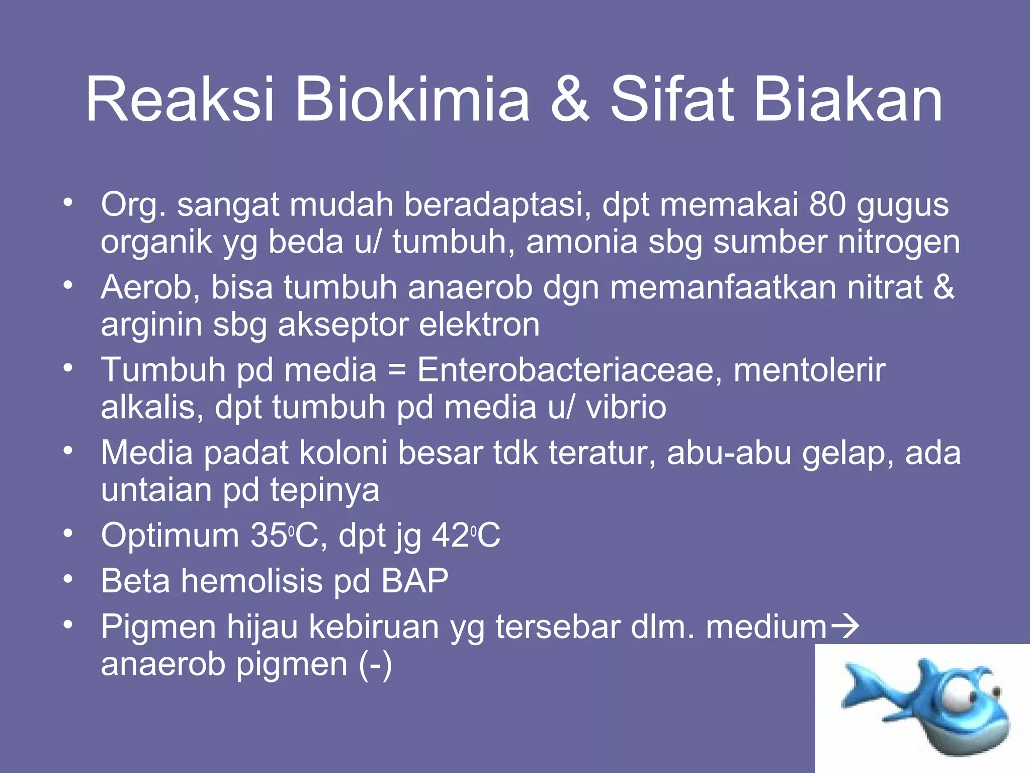 Pseudomonas sp | PPT