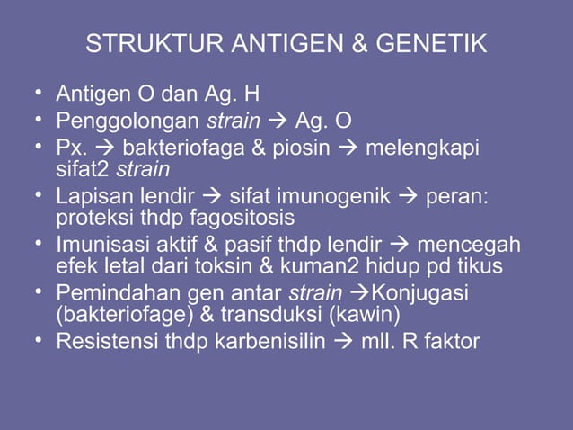 Pseudomonas sp | PPT
