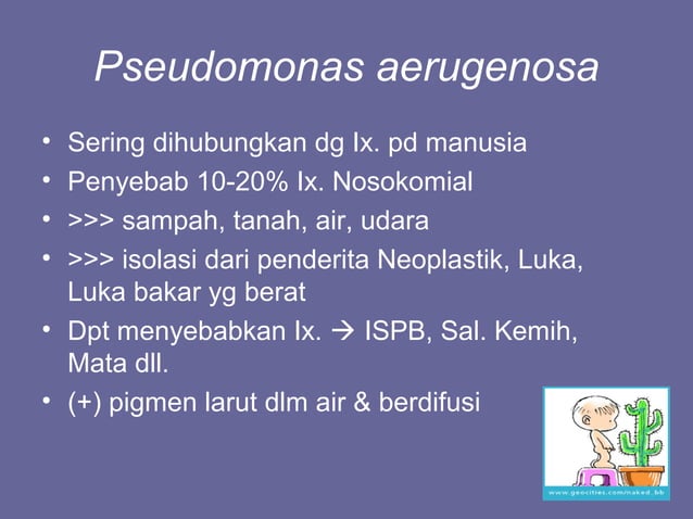 Pseudomonas sp | PPT