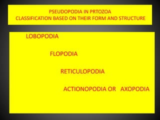 Pseudopodia in prtozoa | PPT