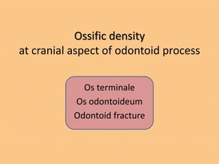 Pseudotrauma of the spine; the osseous variants | PDF