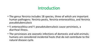 Pseudotuberculosis | PPTX