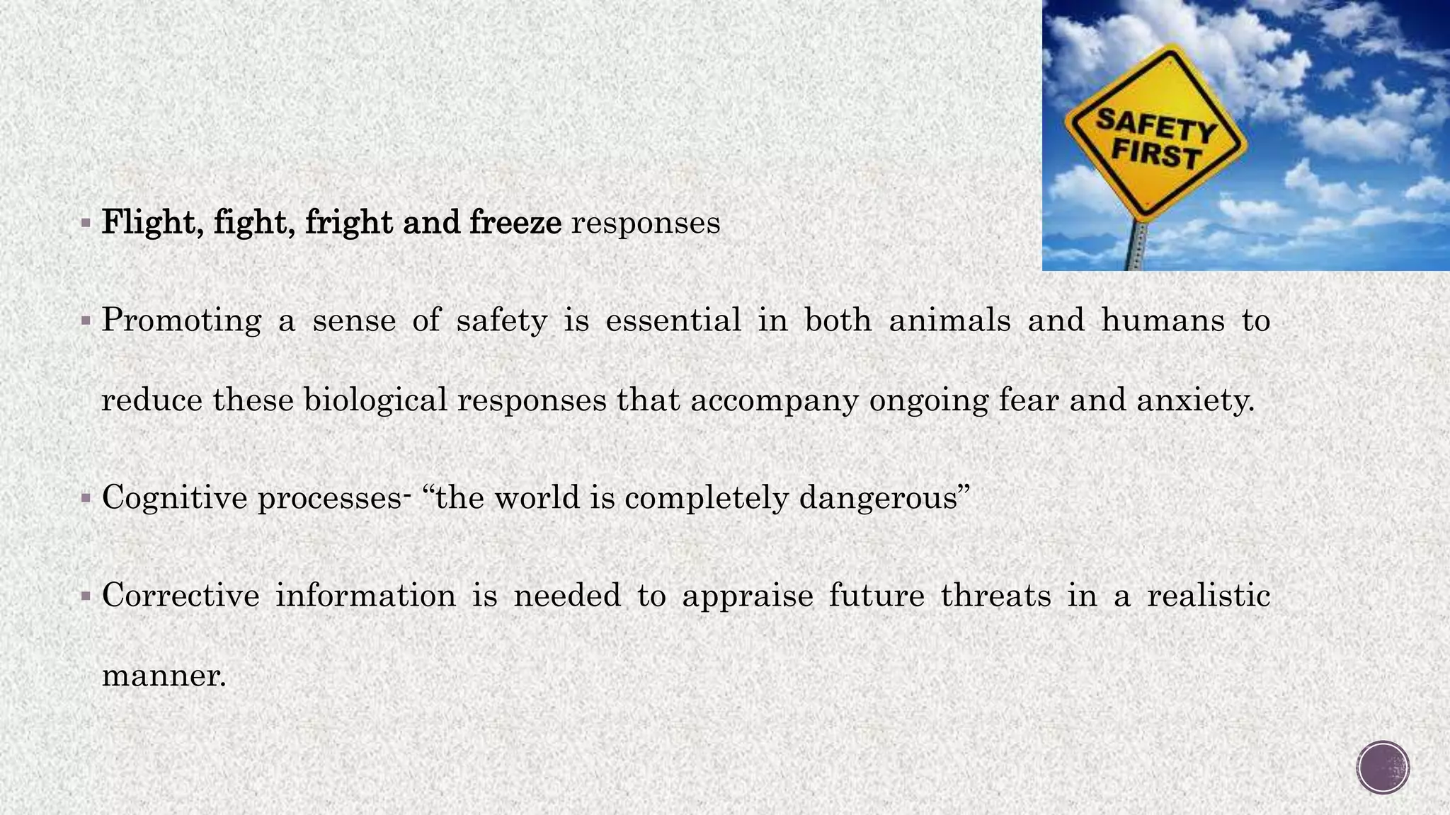 PSFA- Sense of safety.pptx
