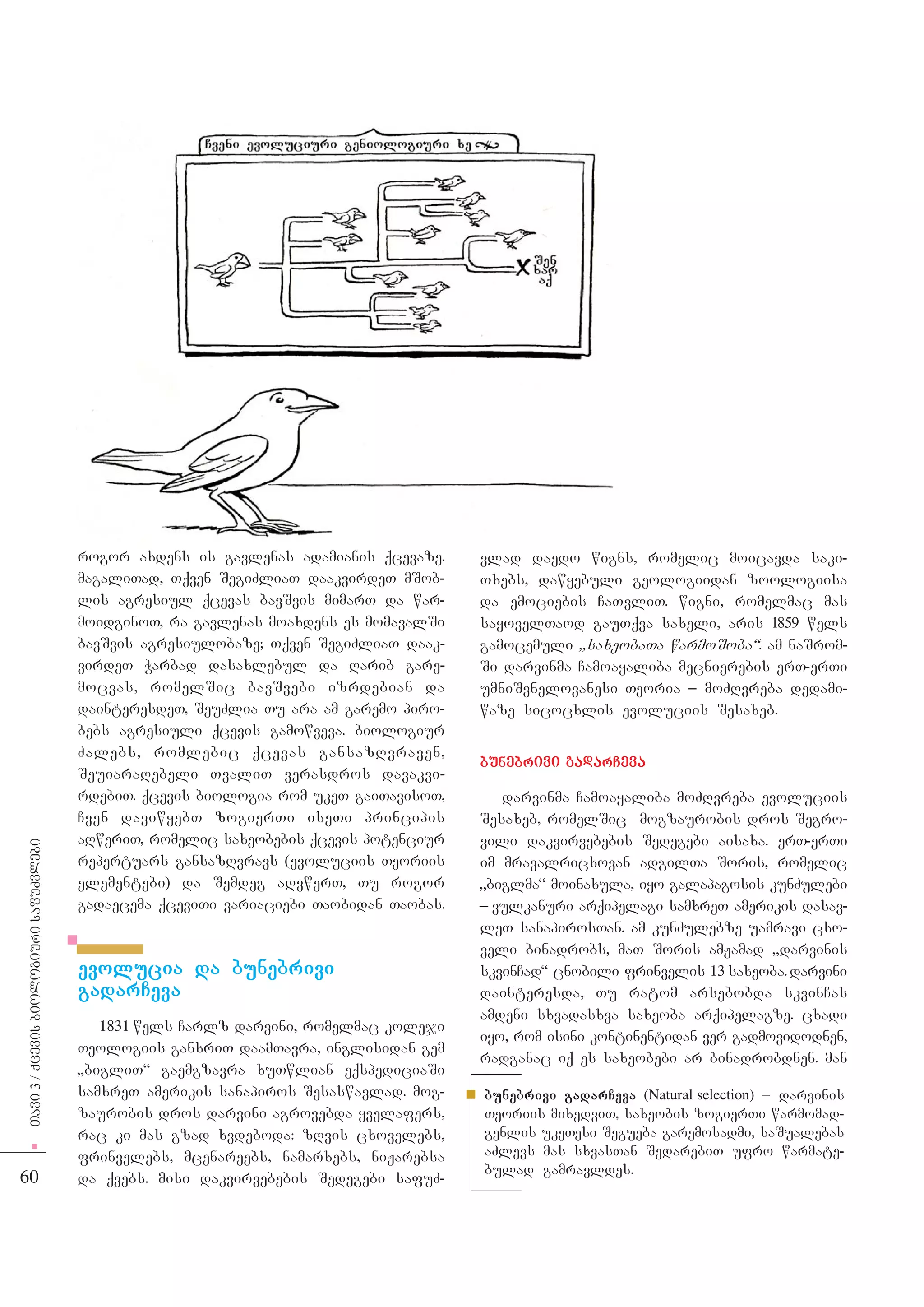 ფილიპ ზიმბარდო - ფსიქოლოგია და ცხოვრება | PDF