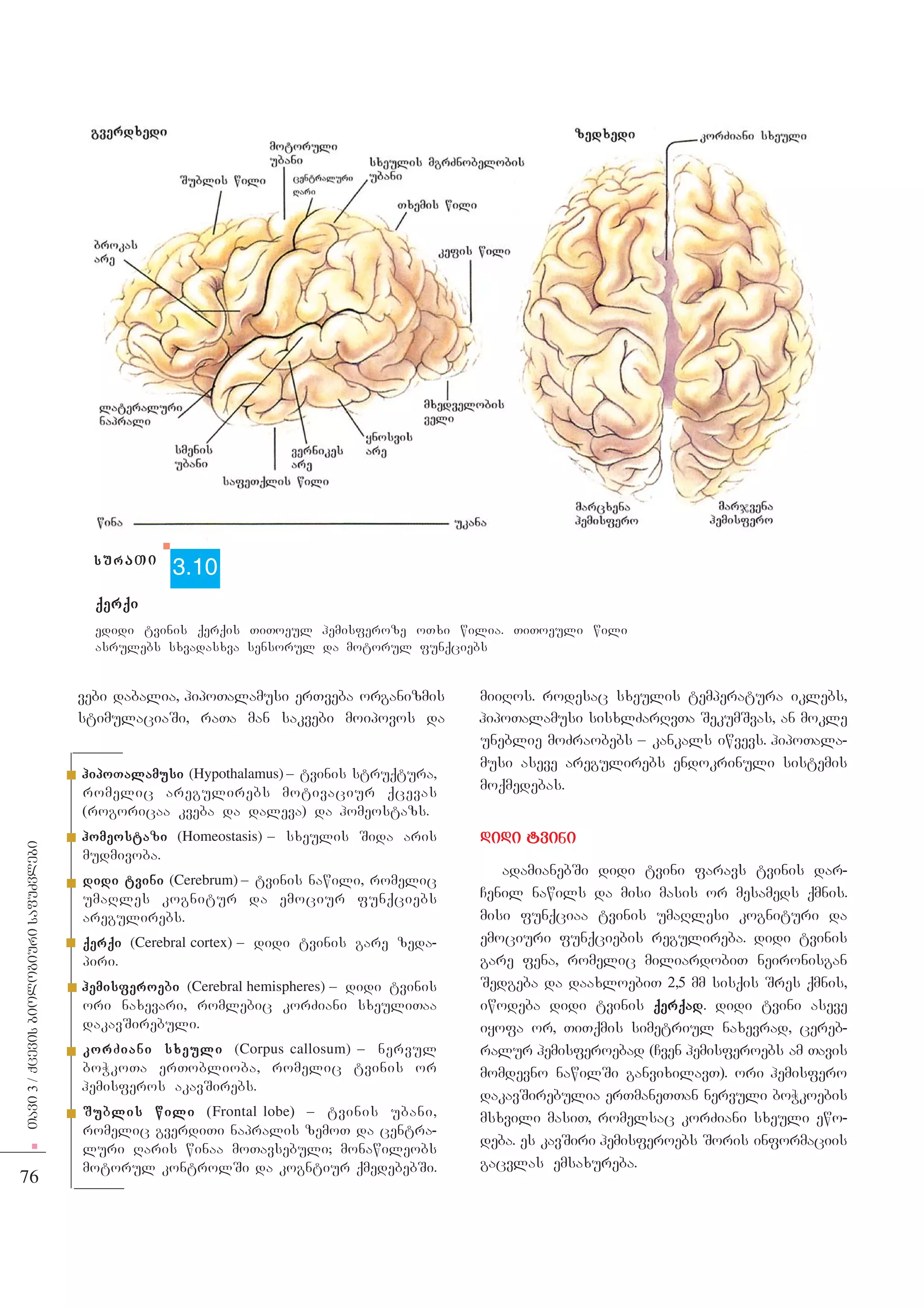 ფილიპ ზიმბარდო - ფსიქოლოგია და ცხოვრება | PDF