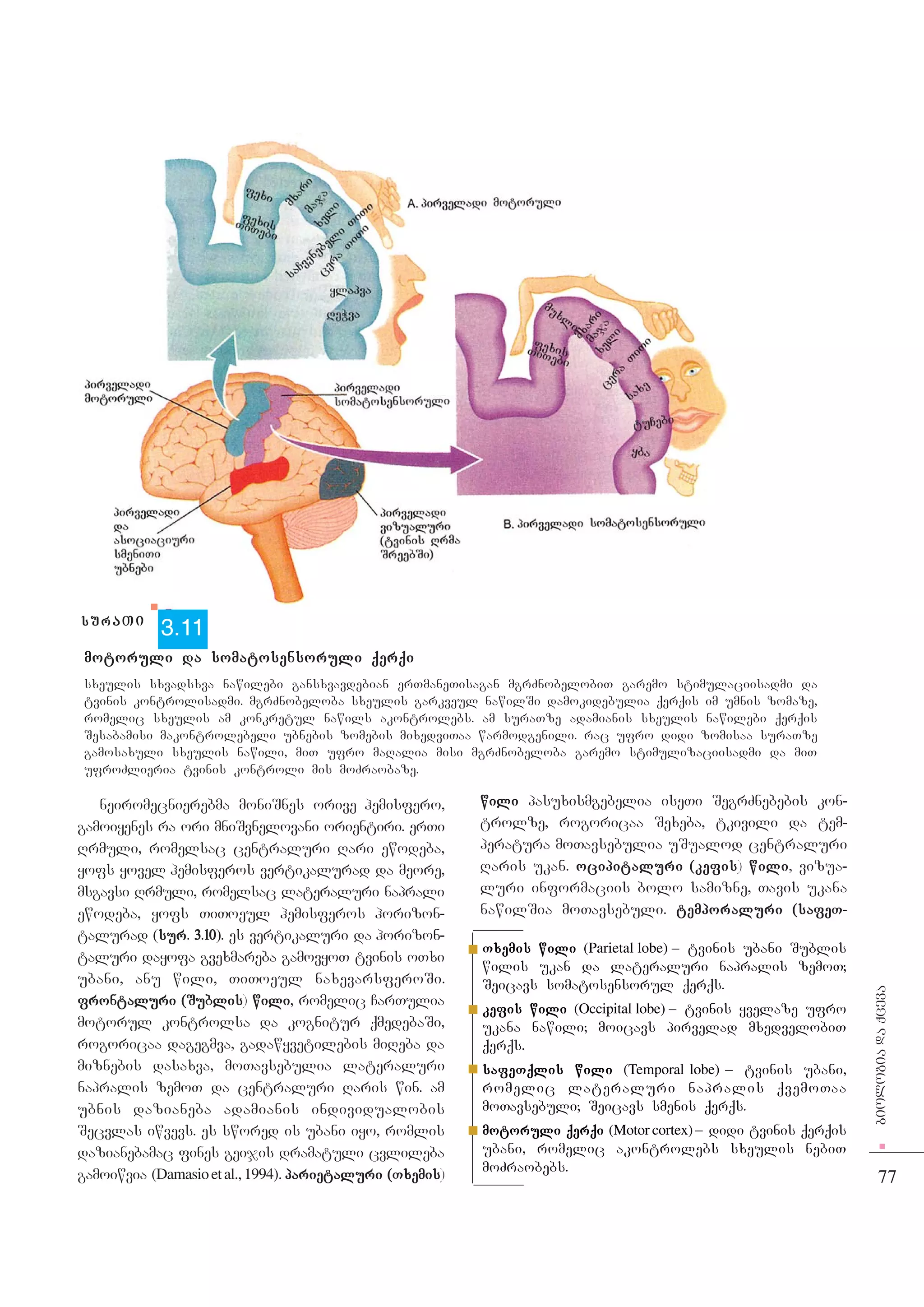 ფილიპ ზიმბარდო - ფსიქოლოგია და ცხოვრება | PDF