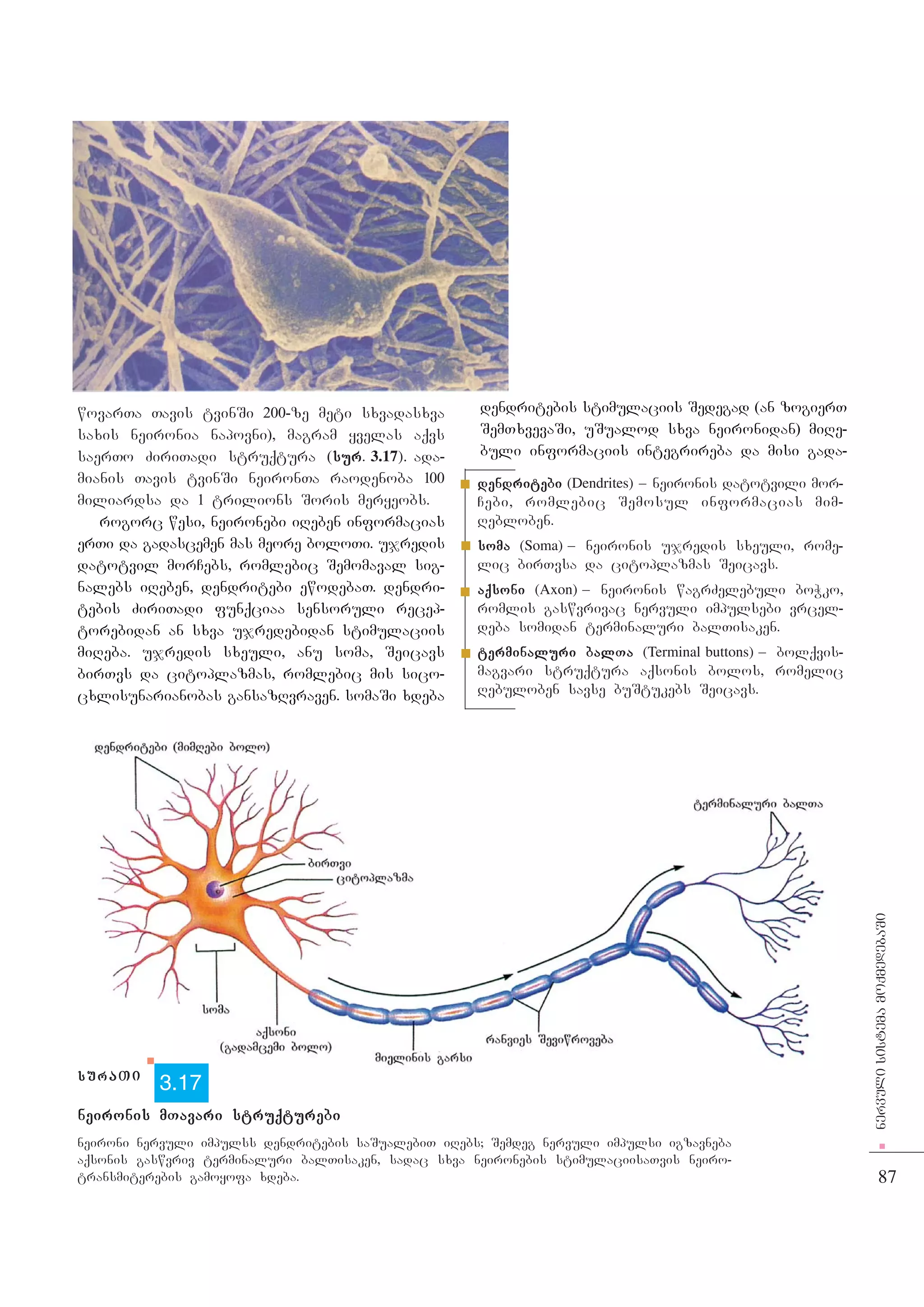 ფილიპ ზიმბარდო - ფსიქოლოგია და ცხოვრება | PDF