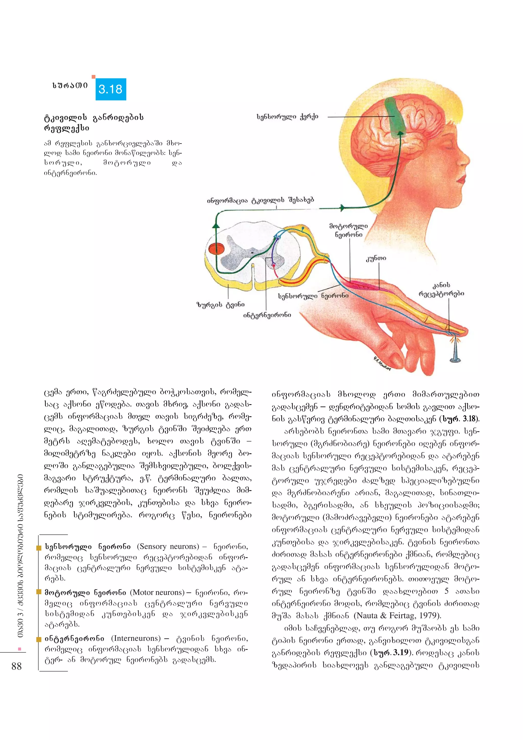 ფილიპ ზიმბარდო - ფსიქოლოგია და ცხოვრება | PDF