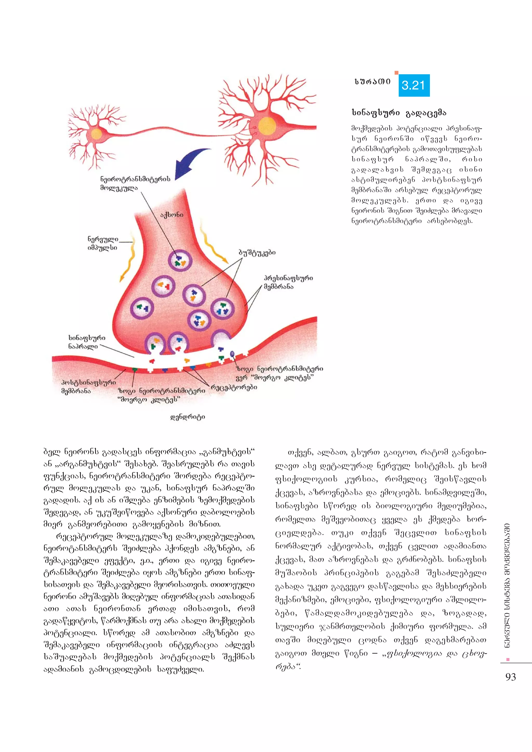 ფილიპ ზიმბარდო - ფსიქოლოგია და ცხოვრება | PDF