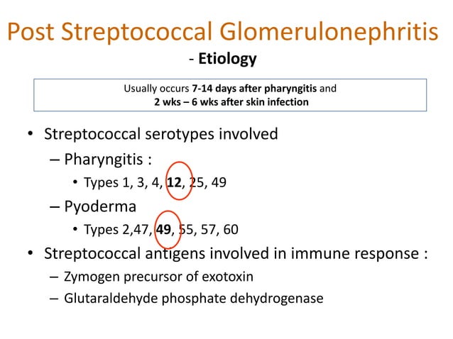 Psgn nephrotic syndrome | PPT