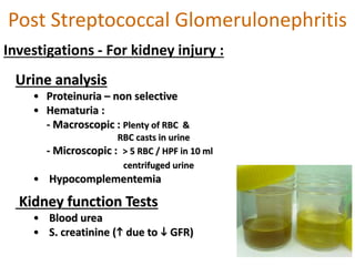 Glomerulonephritis Urine