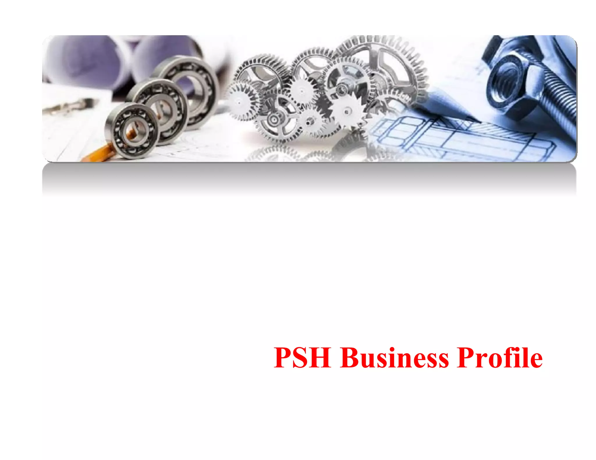 PSH Business Profile 2019 | PPT