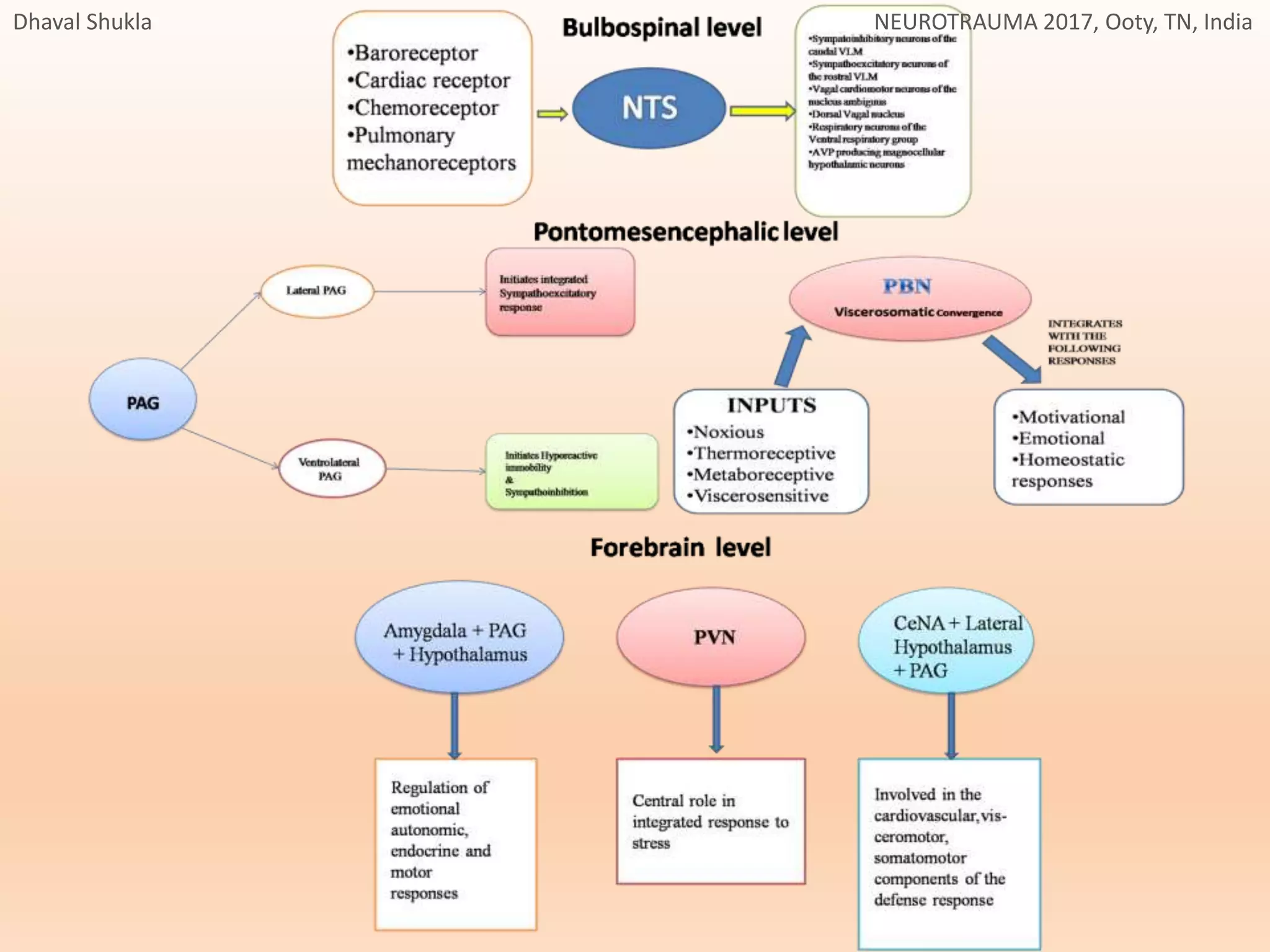 Paroxysmal Sympathetic Hyperactivity in Traumatic Brain Injury [PSH in ...