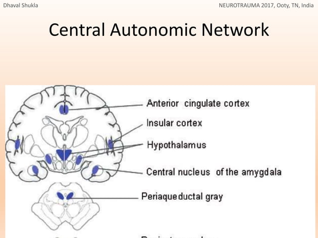 Paroxysmal Sympathetic Hyperactivity in Traumatic Brain Injury [PSH in ...