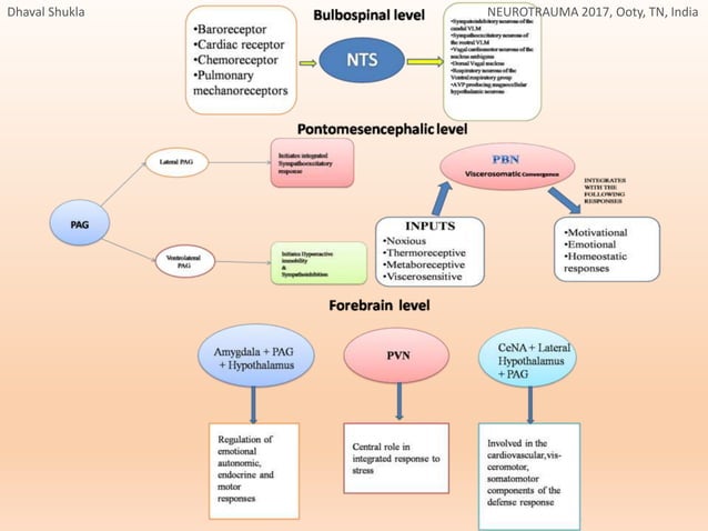 Paroxysmal Sympathetic Hyperactivity in Traumatic Brain Injury [PSH in TBI]