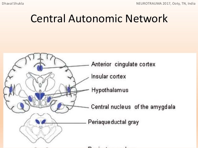 NeuroICU에서 일한다면 겪을 Neuro storming : paroxysmal sympathetic ...