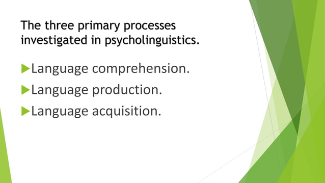 PSYCHOLINGUISTICS | PPTX | Science