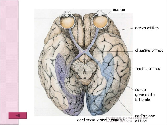 Psic comunicazione -12