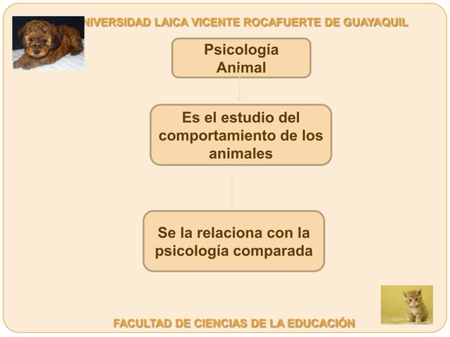 Psicología animal