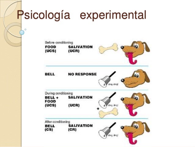 Psicología experimental