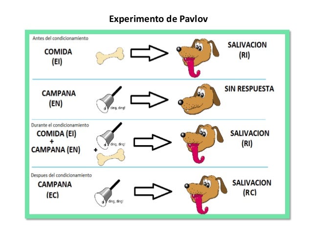 Psicologia ii presentacion carolina c p1 vdlp
